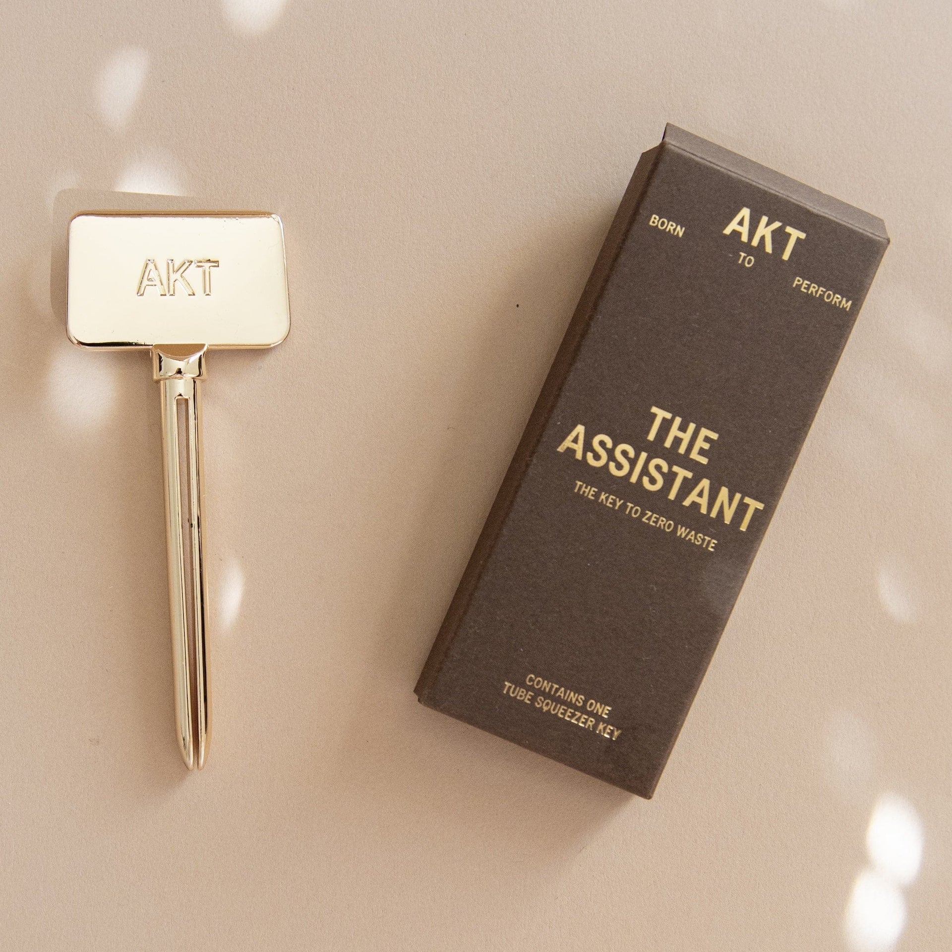 AKT Assistant